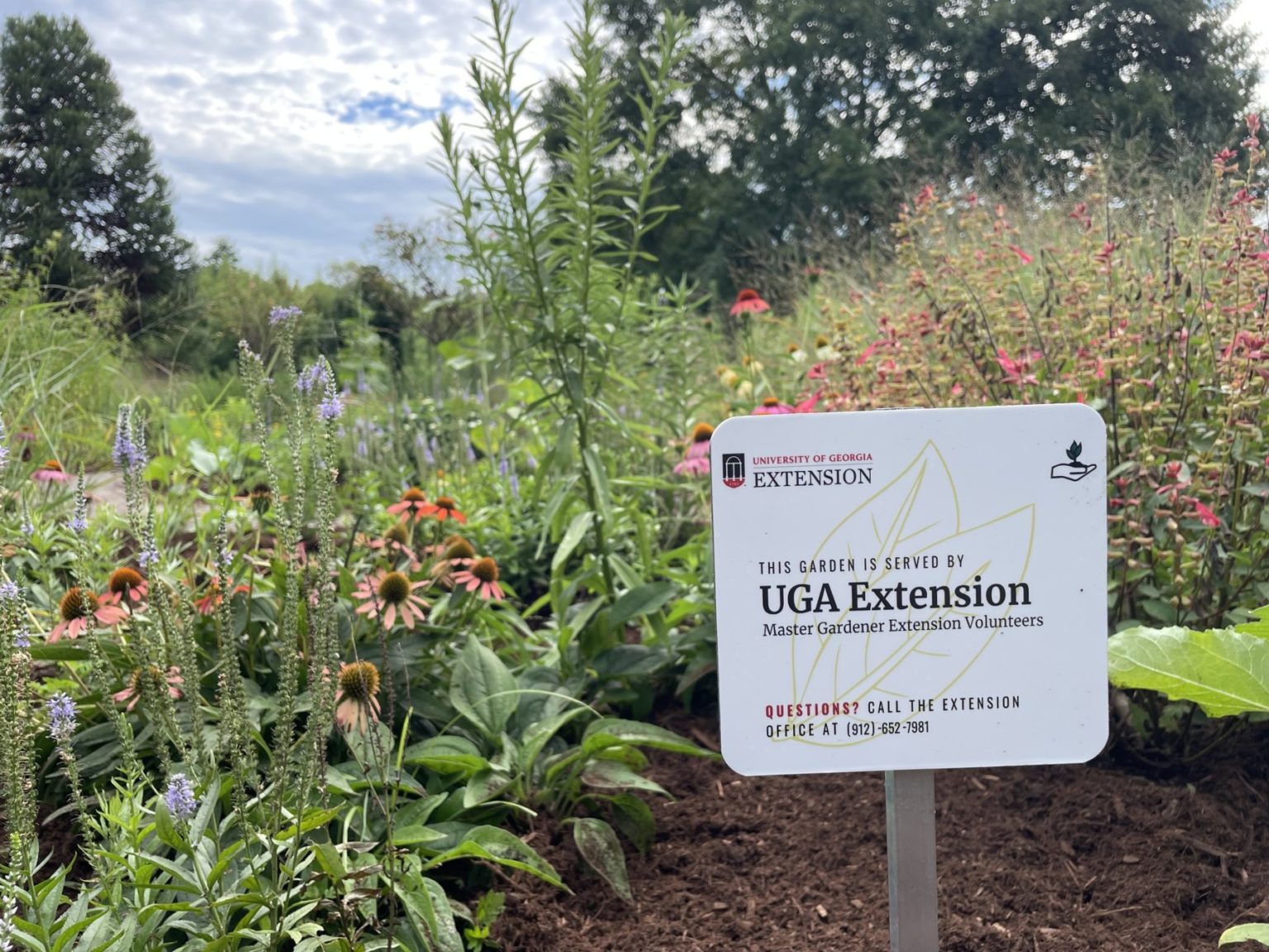 Classes & Resources | Coastal Georgia Botanical Gardens